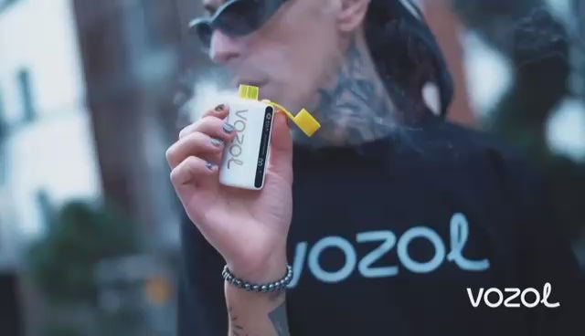 Vozol Star 12K Puffs – Panmena